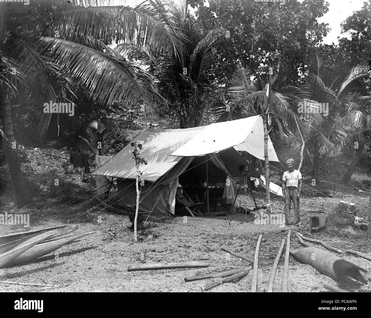 64 Assee, Nieuw Guinea, Assee. - Collectie stichting Nationaal Museum ...