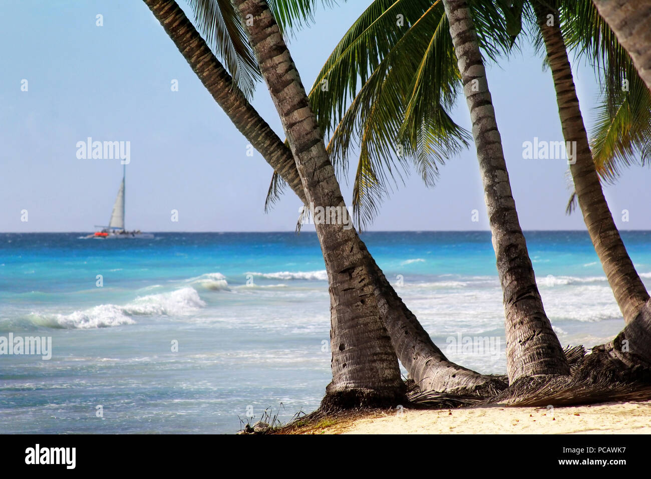 Saona island beach. Dominican Republic Stock Photo - Alamy