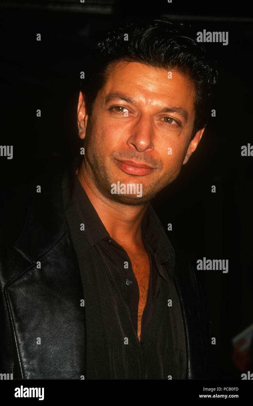 LOS ANGELES, CA - MAY 7: Actor Jeff Goldblum attends 'The Favour, the ...