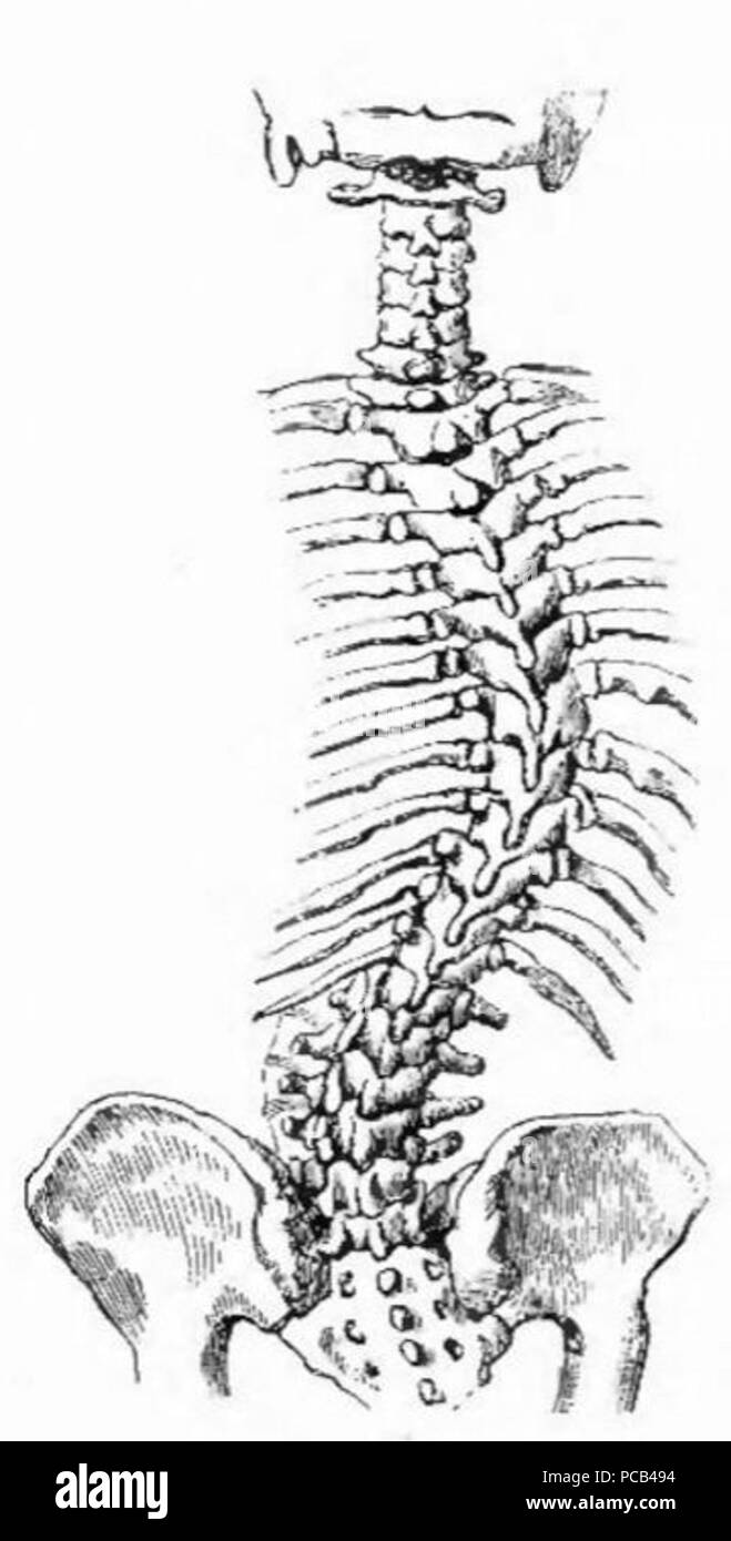 8 Catalogue de corsets de Rainal Frères Fig 654 Stock Photo - Alamy