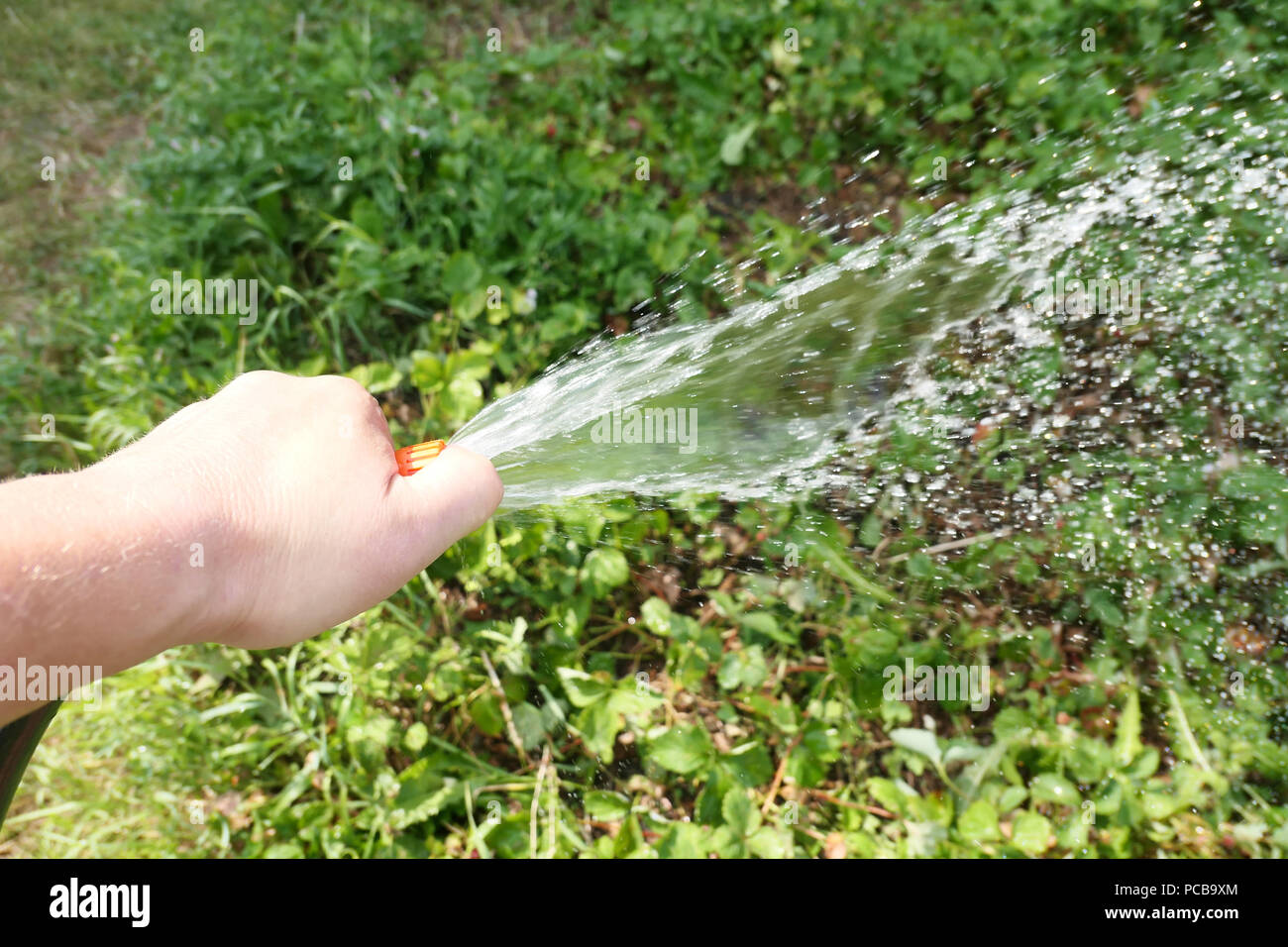 Hand garden hose cleaning hi-res stock photography and images - Alamy