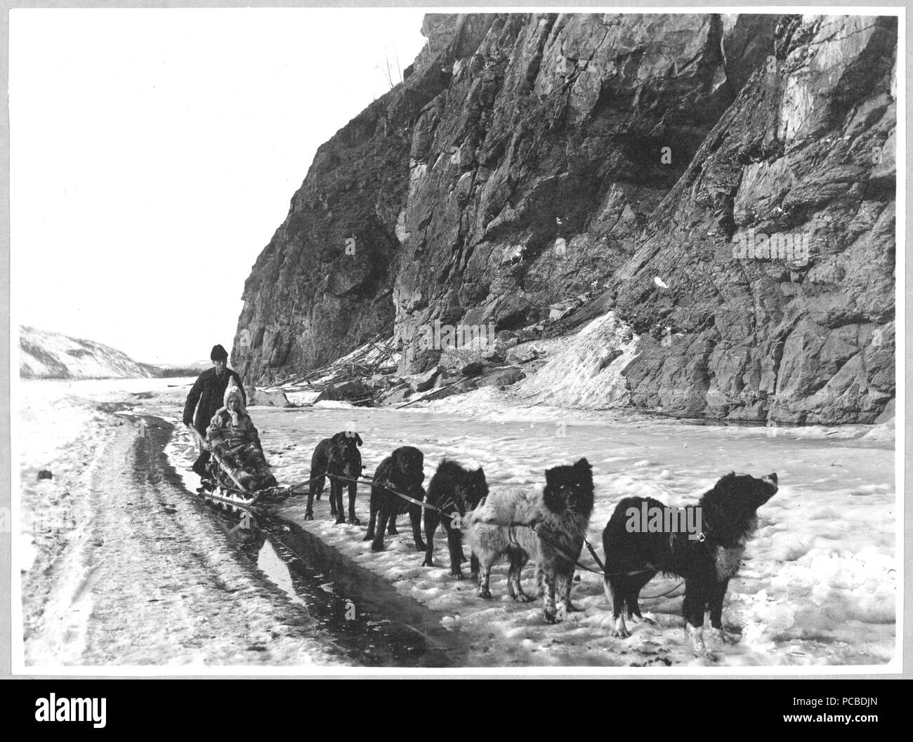 Dog sled team 1900s hi-res stock photography and images - Alamy