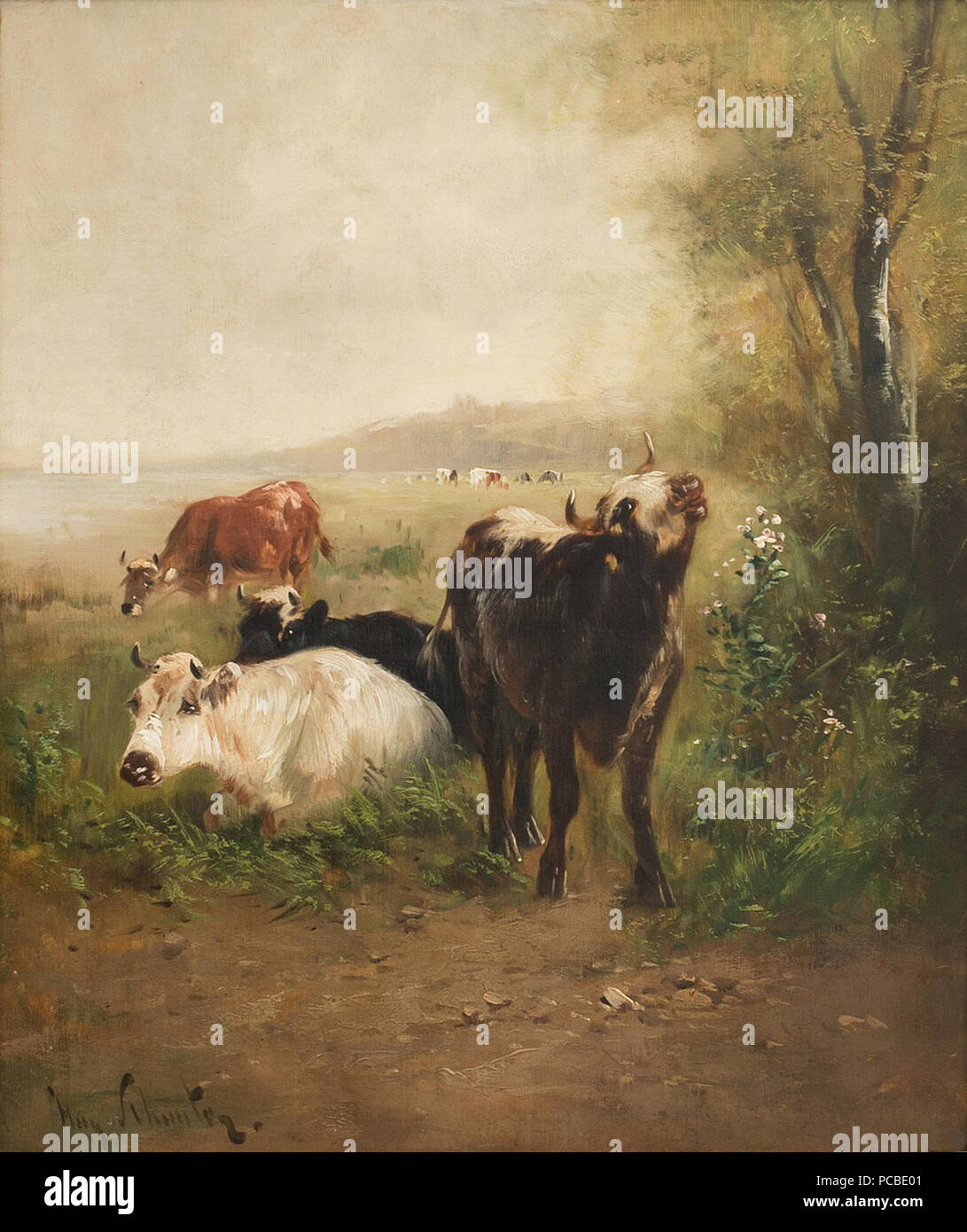 Animal breeding cattle hi-res stock photography and images - Alamy