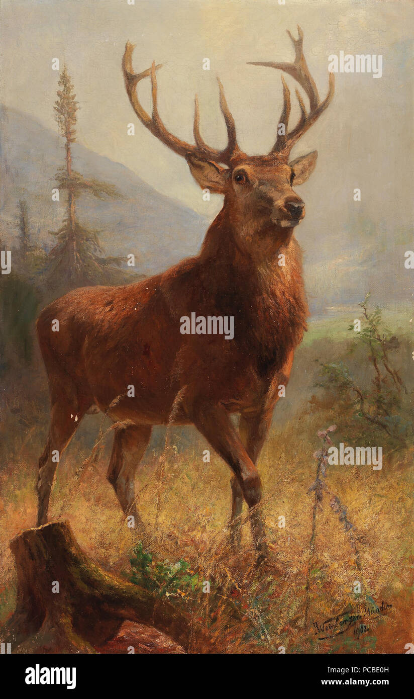 9 Anton Weinberger - Trophy Stag in an Open Landscape Stock Photo - Alamy