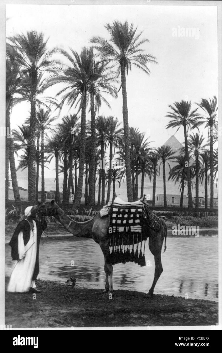 Village and palm trees by a lake with a pyramid in the distance, before ...