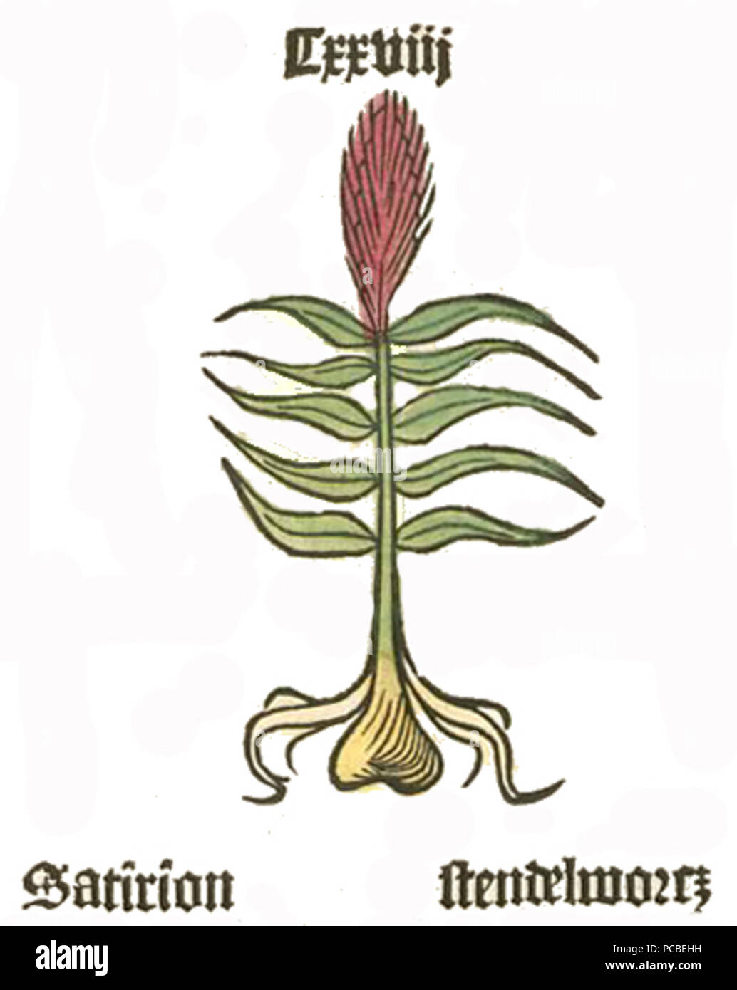 Kap Cut Out Stock Images & Pictures - Alamy