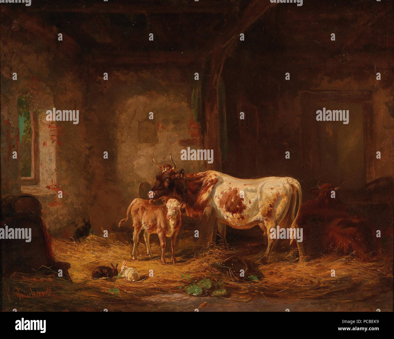 Cows barn hi-res stock photography and images - Alamy