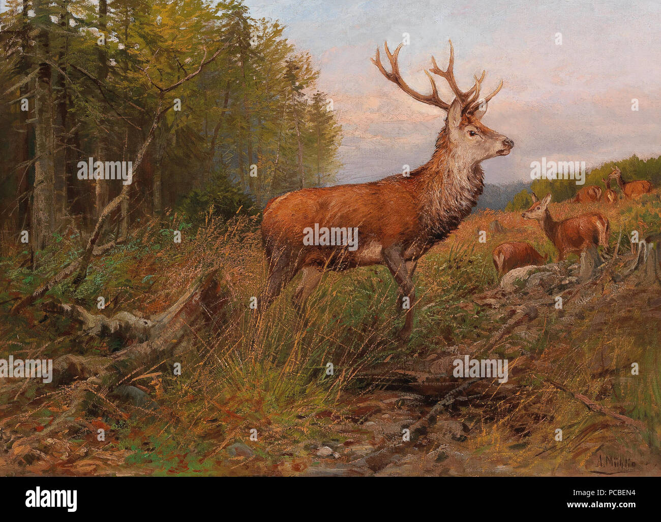 5 Albert Ernst Mühlig - Red Deer On the Lookout Stock Photo - Alamy