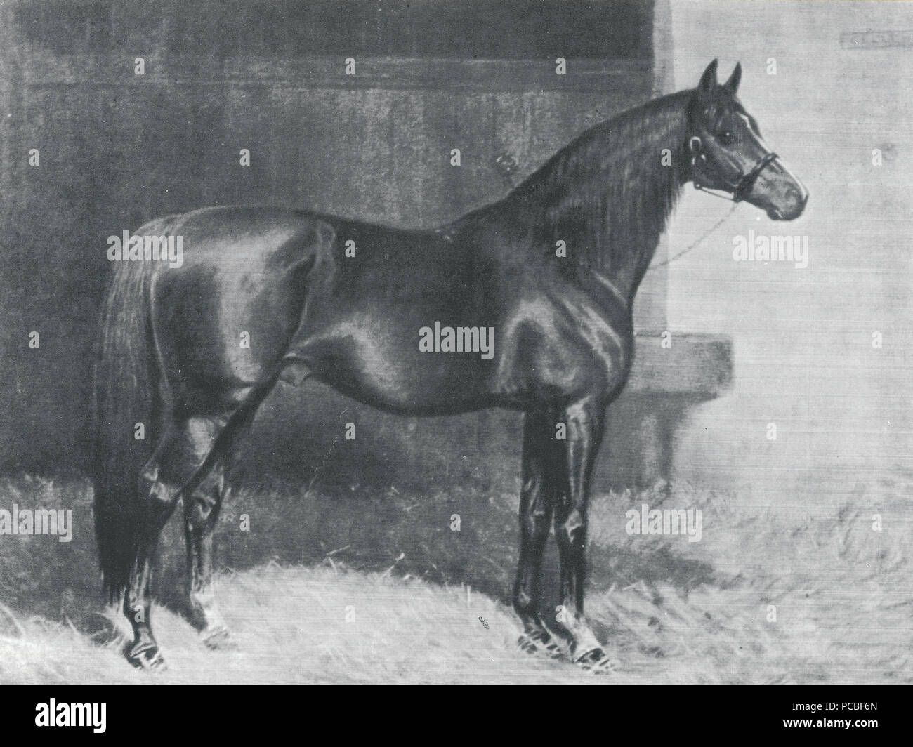 Cyllene hi-res stock photography and images - Alamy