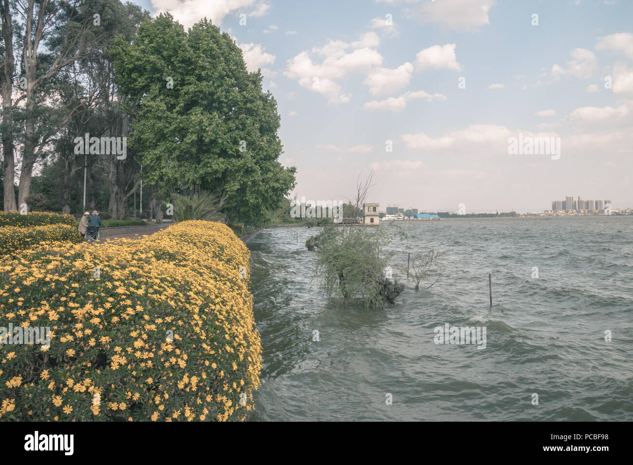 Dianchi hi-res stock photography and images - Alamy