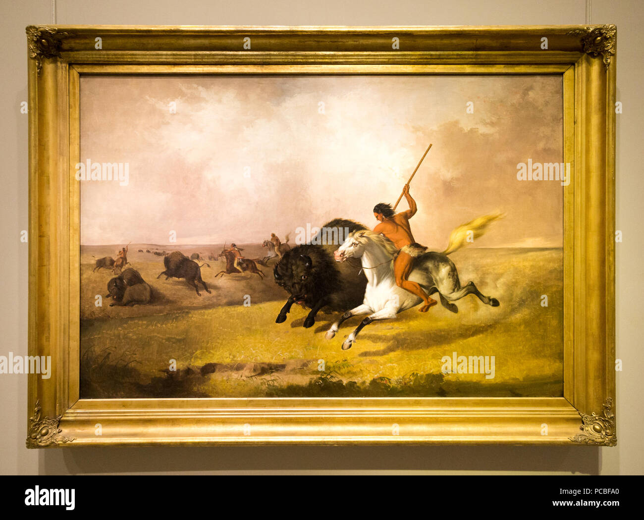 69 Paintings of Native Americans by John Mix Stanley-2057 Stock Photo ...