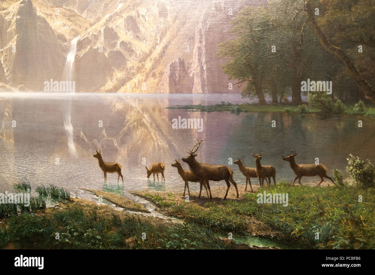Painting art museum albert bierstadt among the sierra nevada hi-res ...