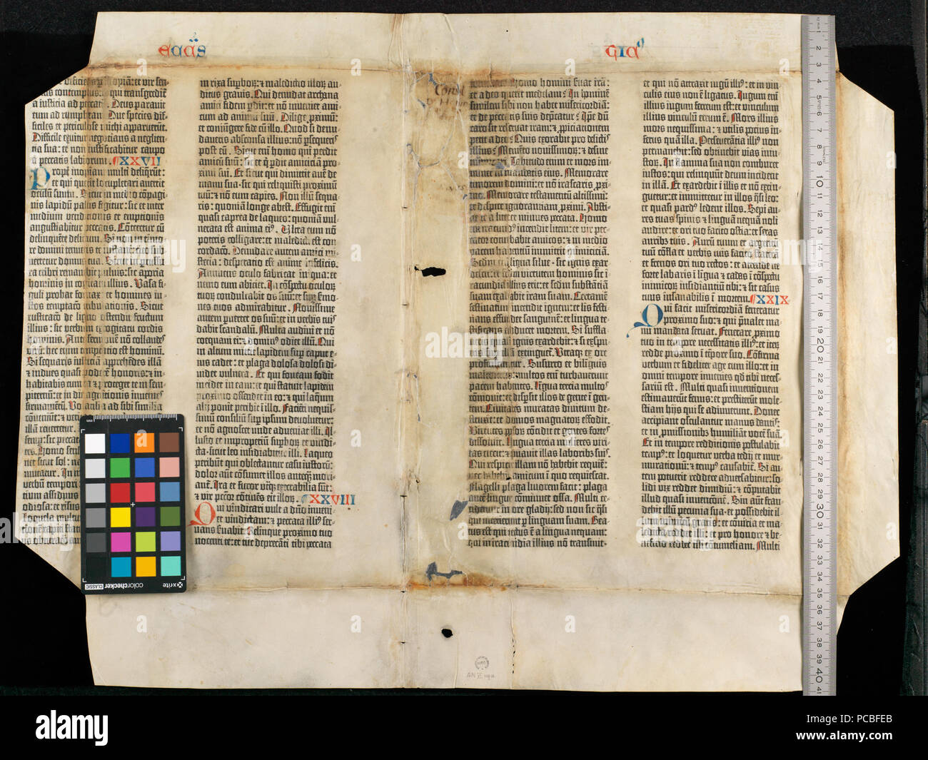 «Gutenbergbibel» [Mainz], [Drucker der 42-zeiligen Bibel (Johannes ...