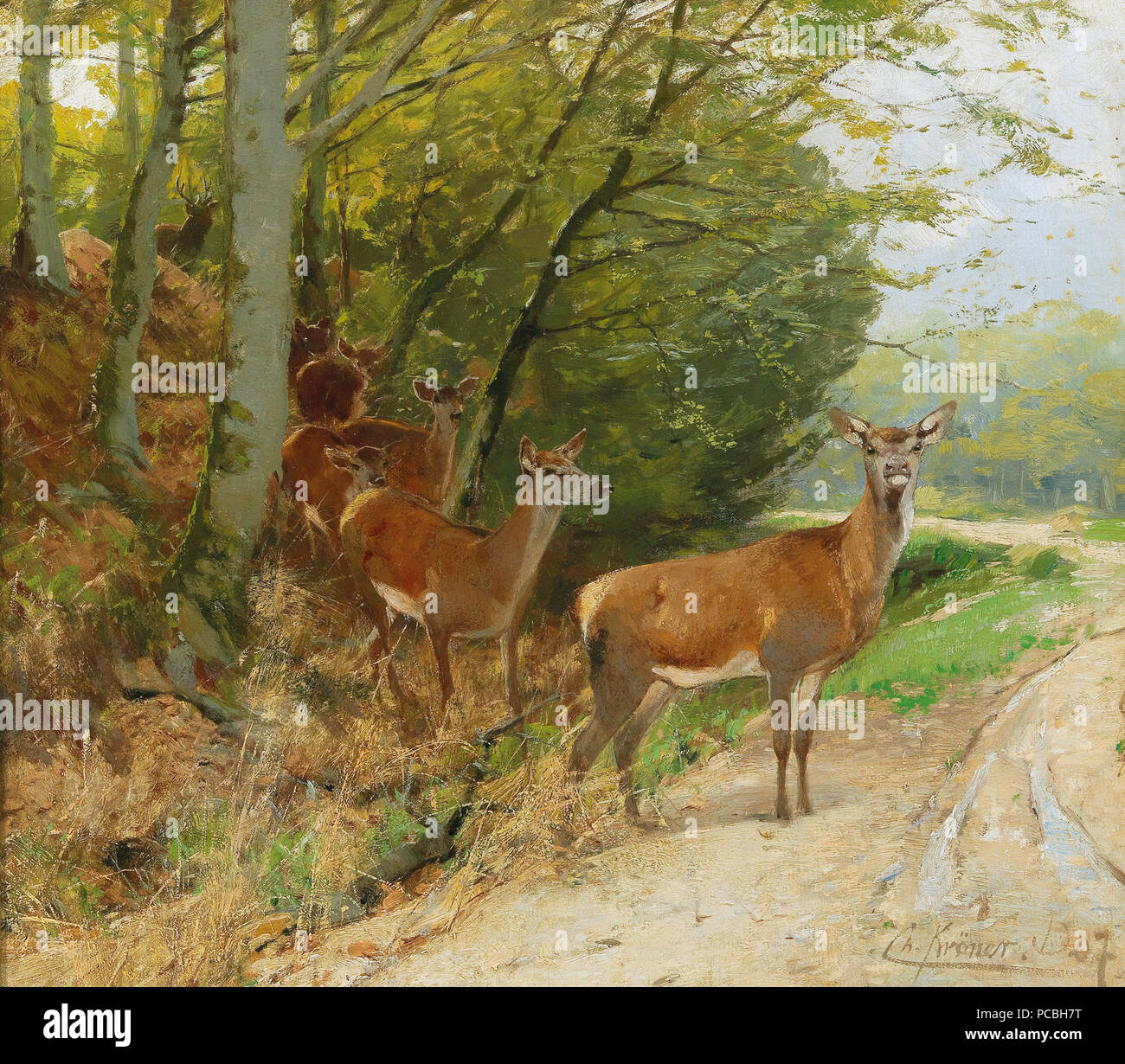 Red deer crossing hi-res stock photography and images - Alamy