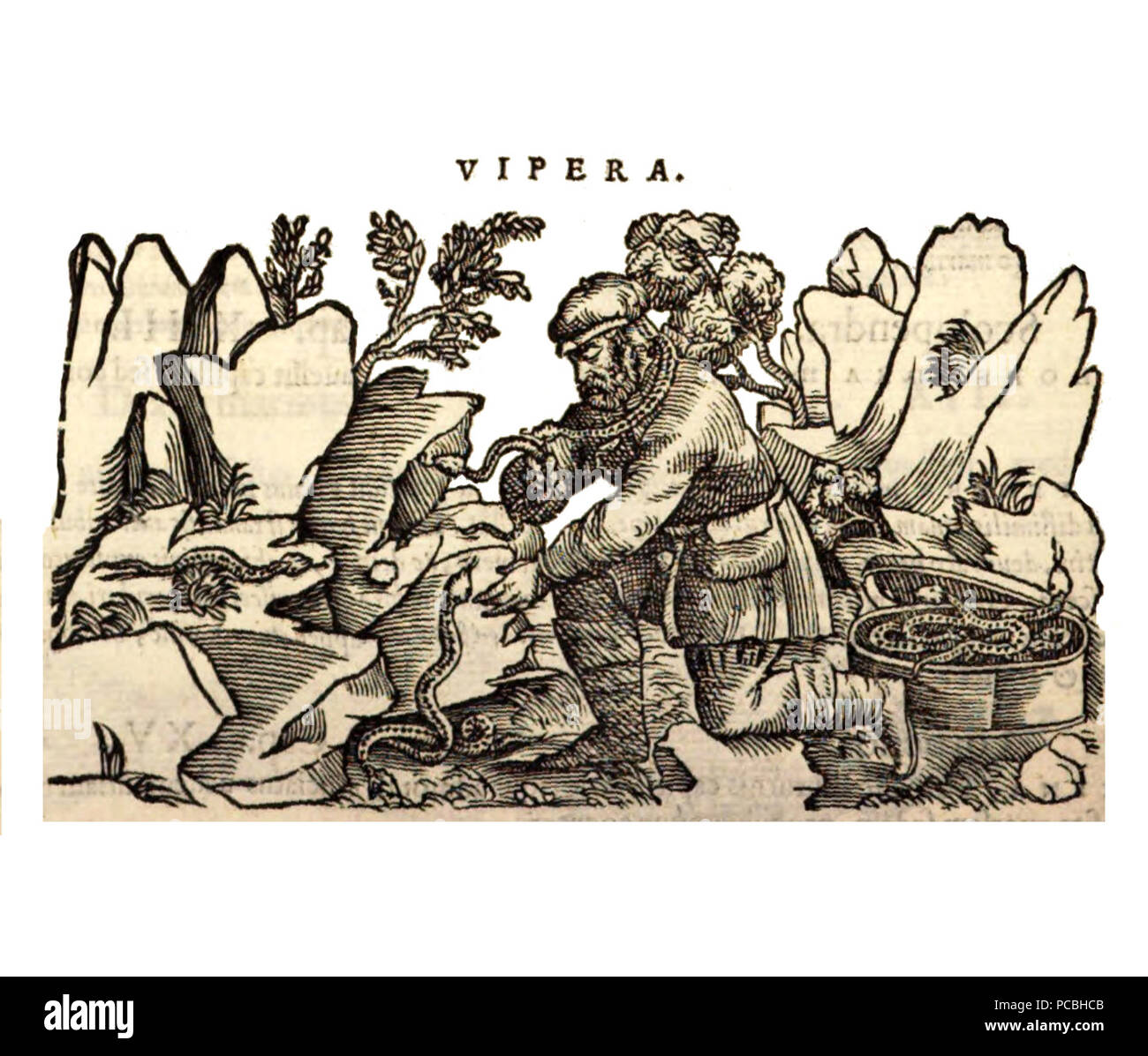 Mattioli hi-res stock photography and images - Alamy