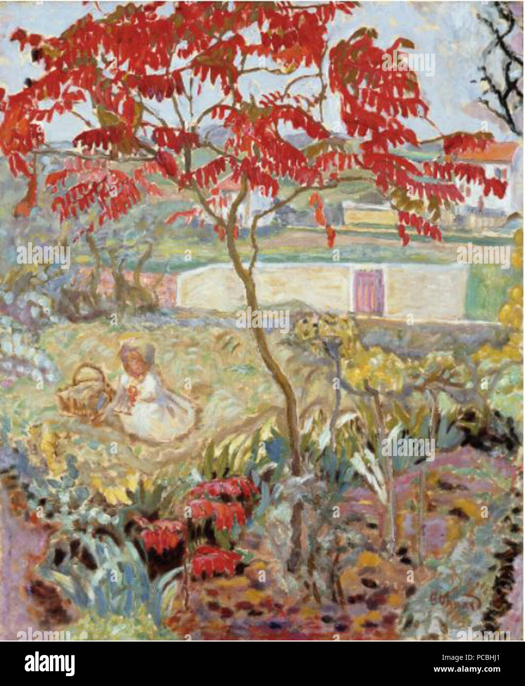 Larbre rouge hi-res stock photography and images - Alamy