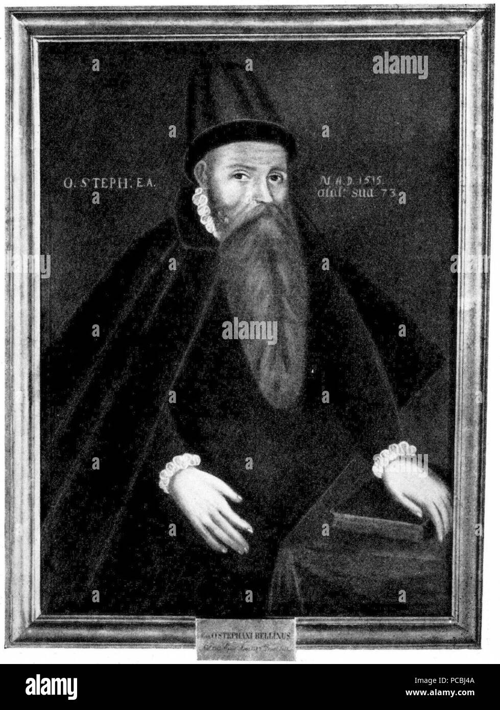 Bellinus hi-res stock photography and images - Alamy