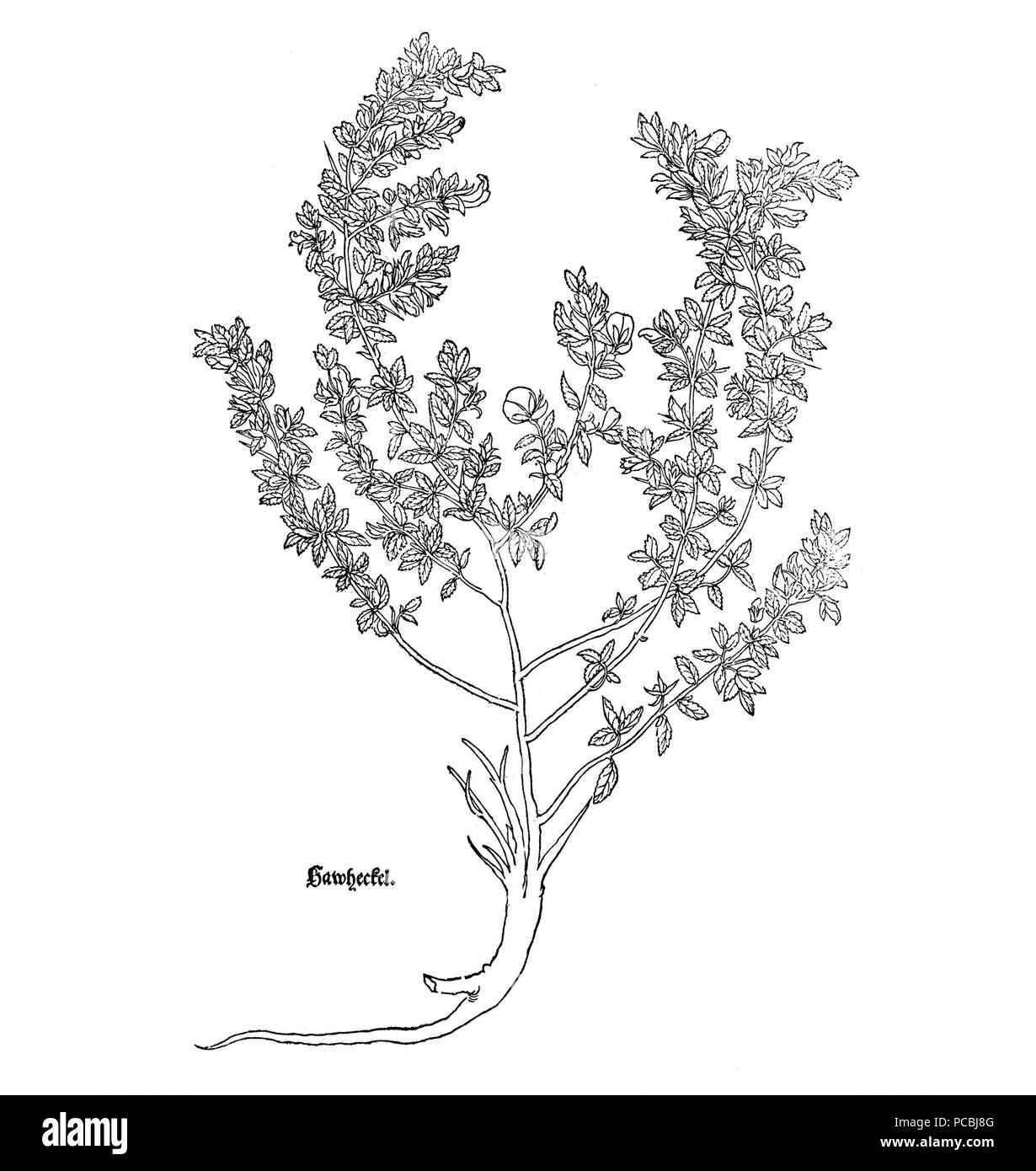 Project 24 Cut Out Stock Images & Pictures - Alamy