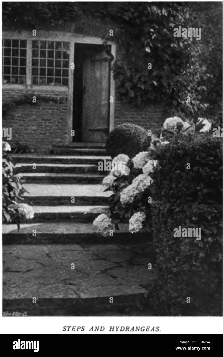 Outdoor flower arrangement display Black and White Stock Photos ...