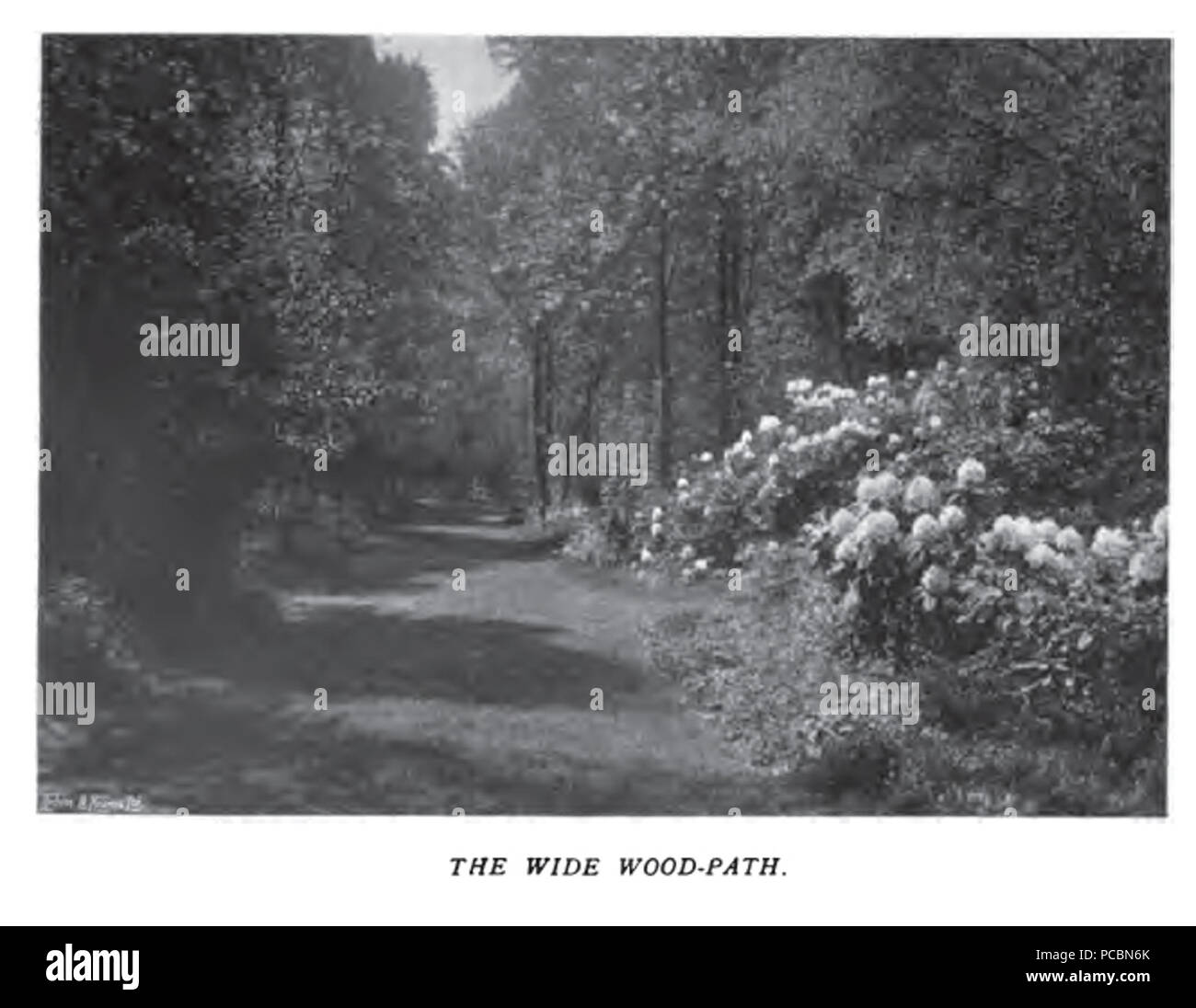 Colour in design Cut Out Stock Images & Pictures - Alamy