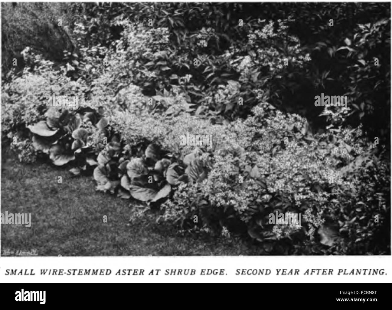 Image in colour Black and White Stock Photos & Images - Alamy