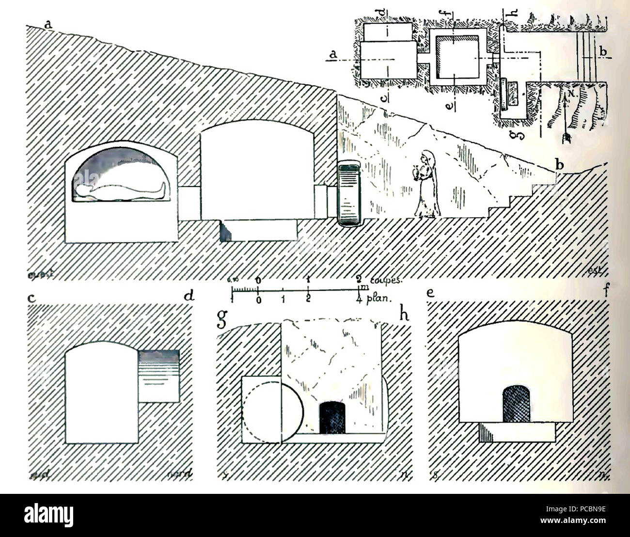 Cross sections hi-res stock photography and images - Alamy