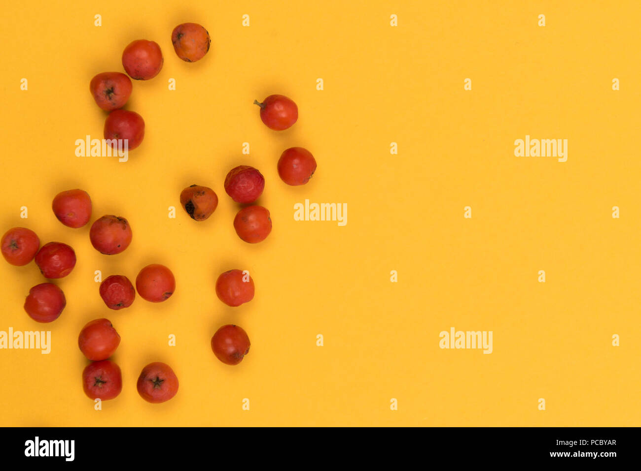 autumn background with natural elements Stock Photo - Alamy