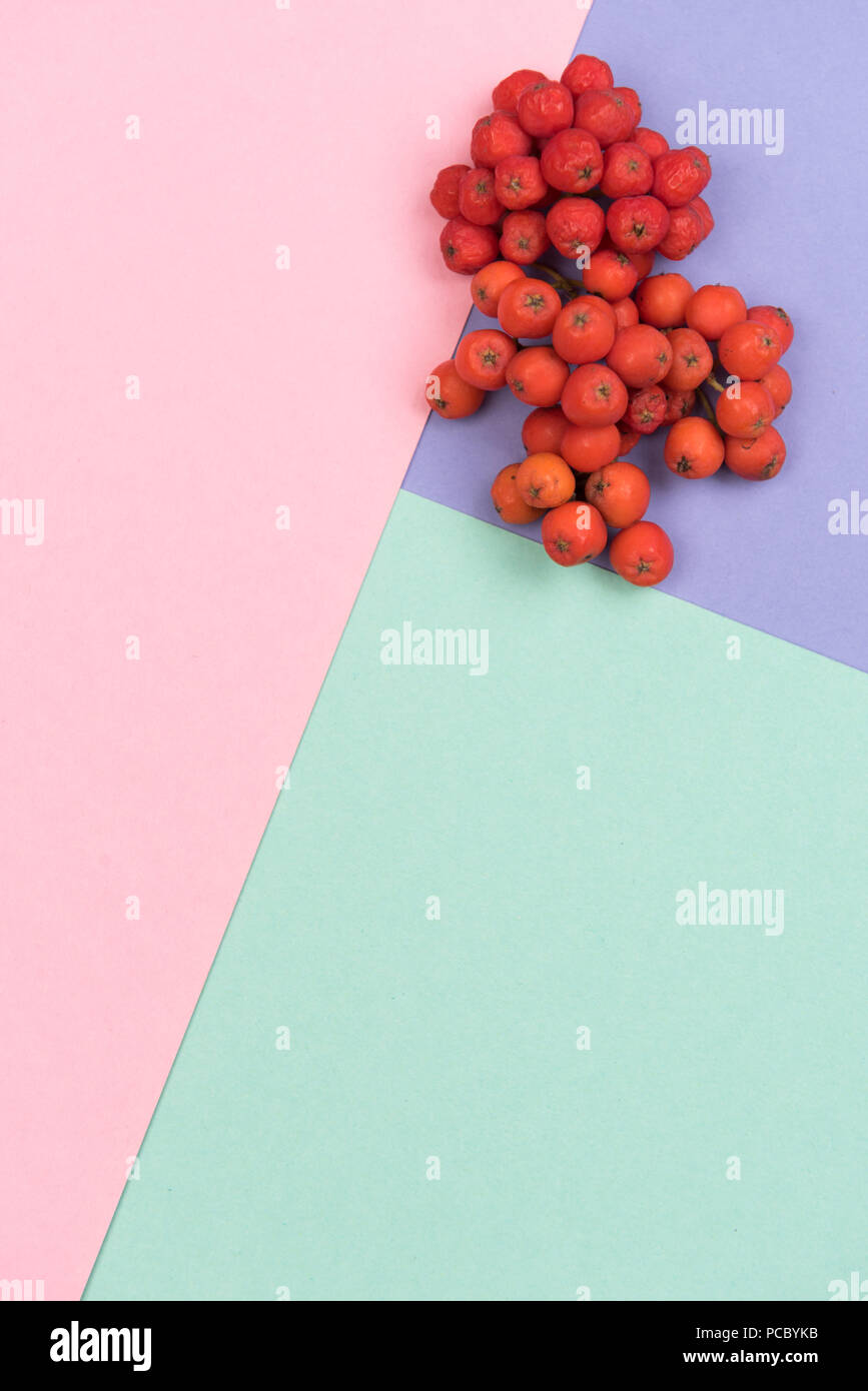 autumn background with natural elements Stock Photo - Alamy