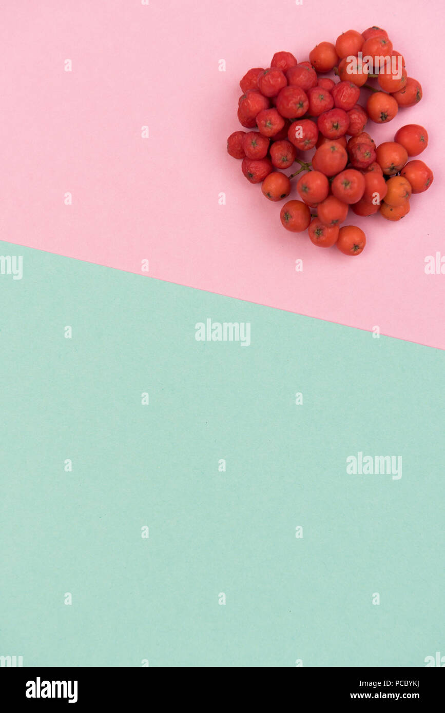 autumn background with natural elements Stock Photo - Alamy