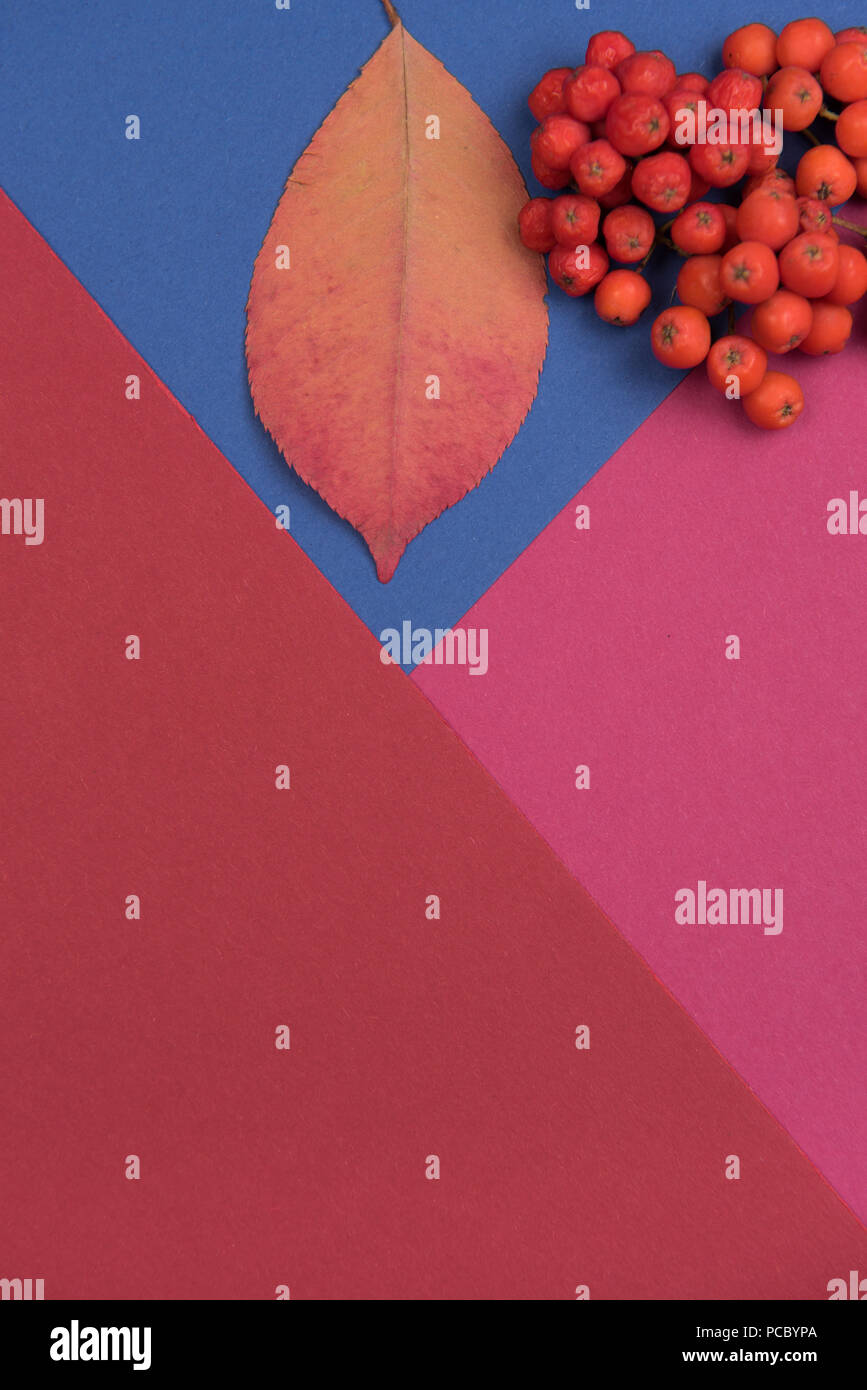 autumn background with natural elements Stock Photo - Alamy