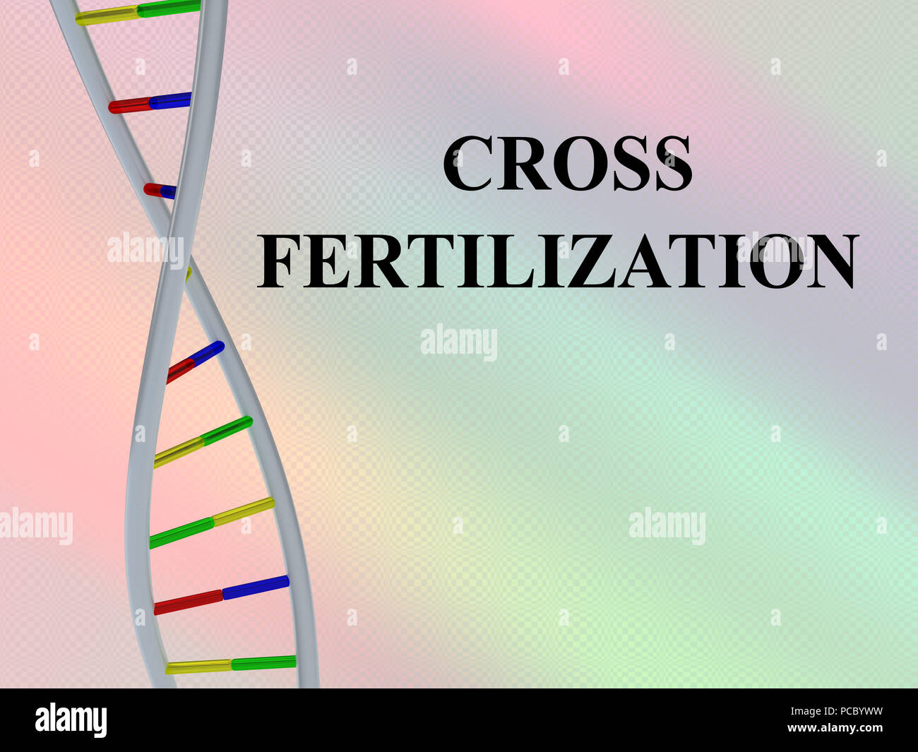 3D illustration of CROSS FERTILIZATION script with DNA double helix ...