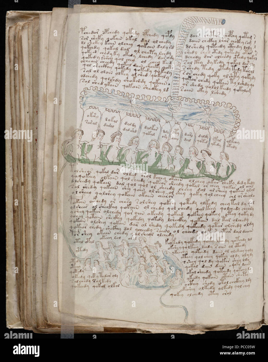The voynich codex hi-res stock photography and images - Alamy