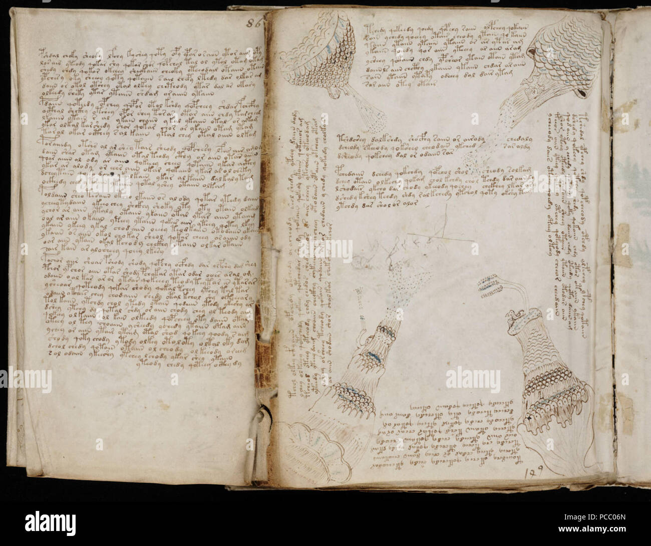 Early manuscript writing hi-res stock photography and images - Alamy