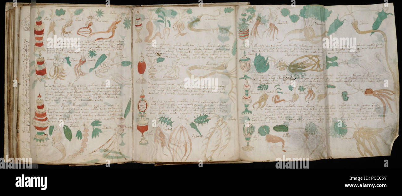 Voynich manuscript hi-res stock photography and images - Alamy