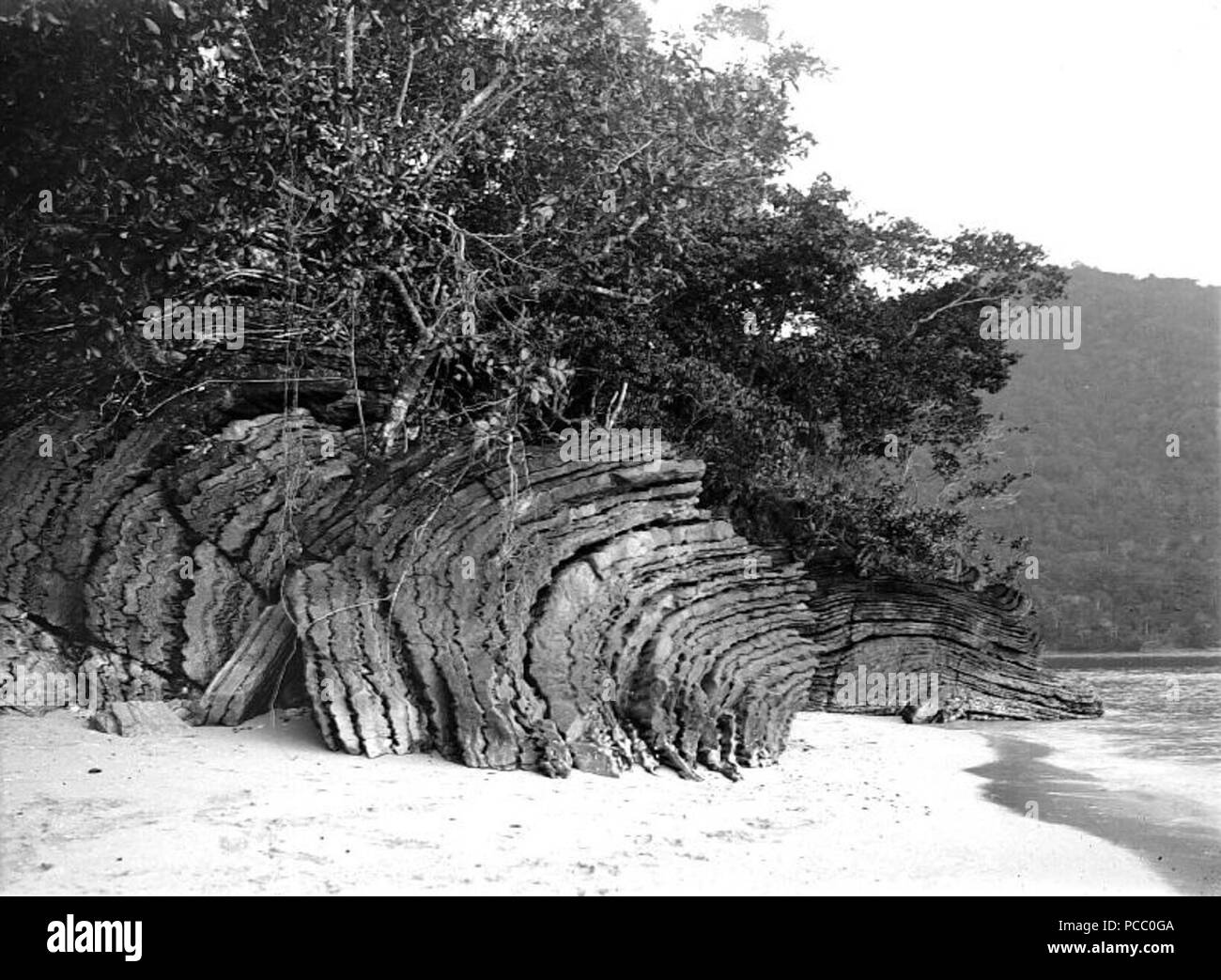 64 Geplooide Kwartsiet op het strand ten noordwesten van Baai van Na ...
