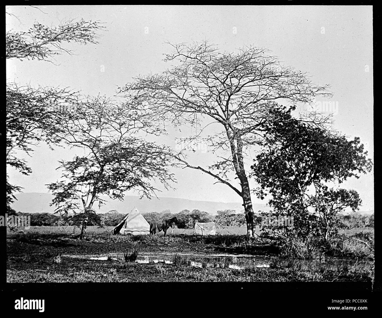 Ubombo hi-res stock photography and images - Alamy