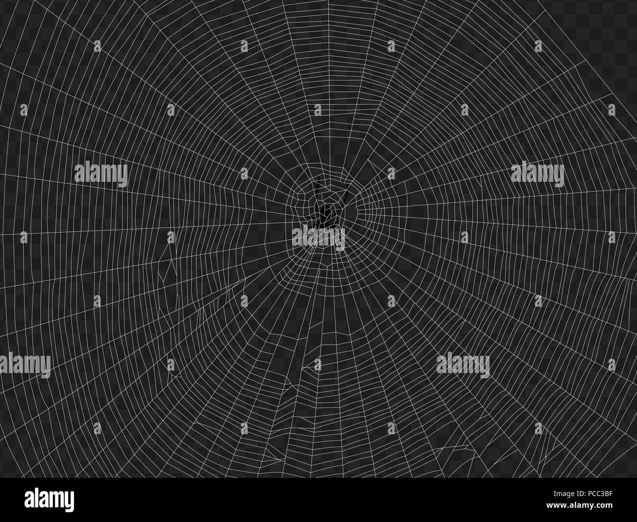 Massive spider Stock Vector Images - Alamy