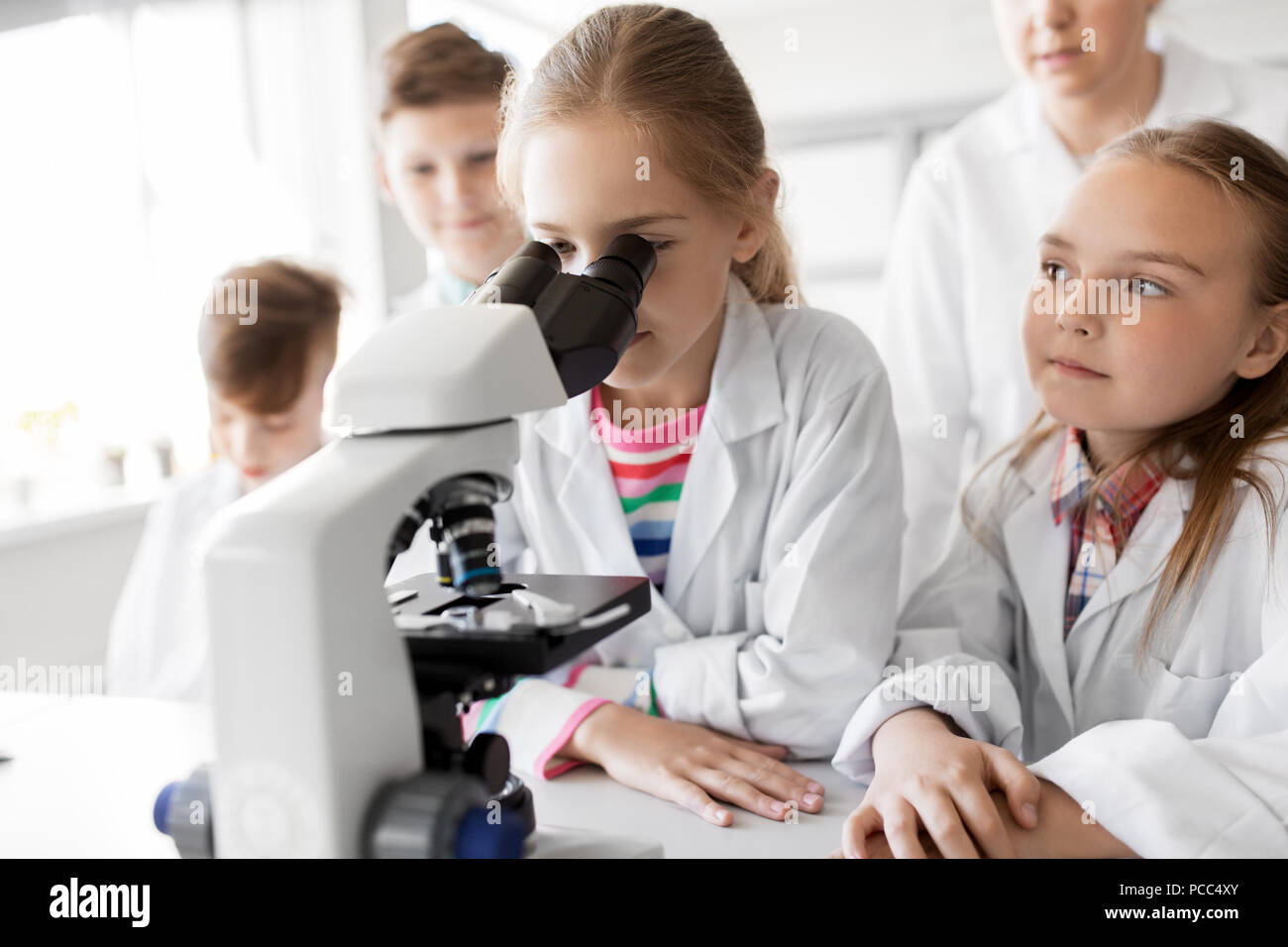 Elementary school biology class hi-res stock photography and images - Alamy