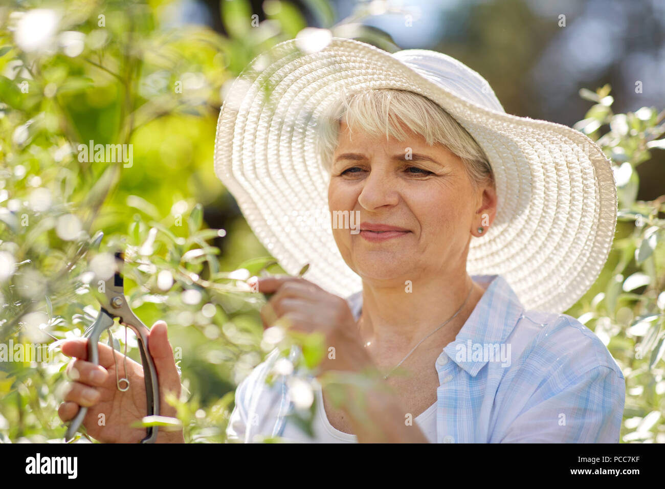 Woman pruning tree garden hi-res stock photography and images - Alamy