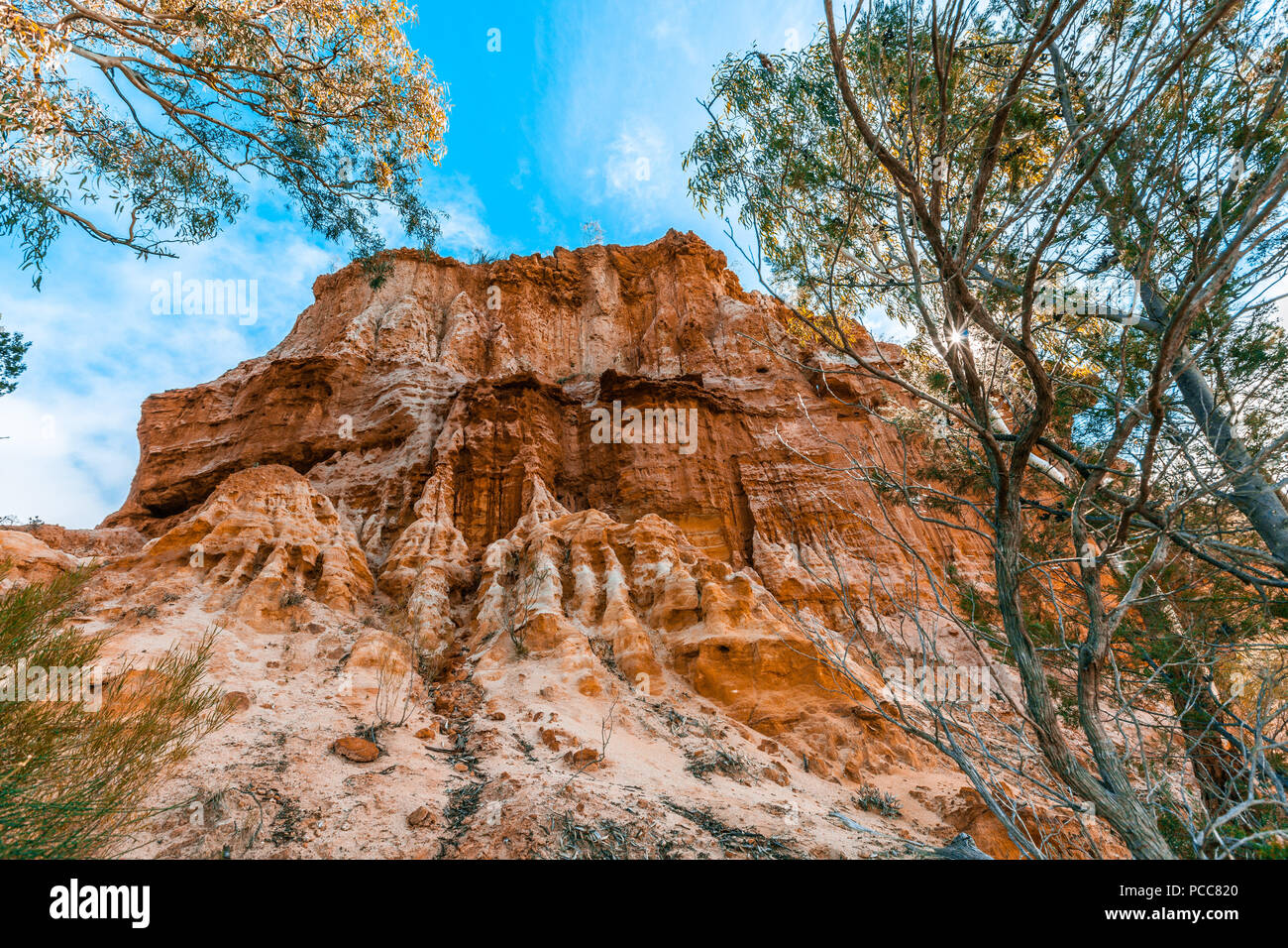 Eroding sandstone cliffs on the shores of Murray River in South ...