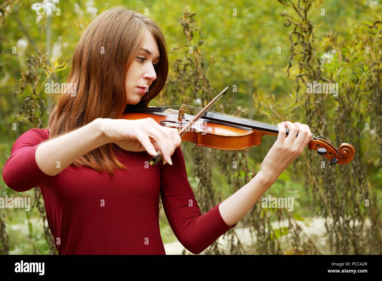 Beautiful girl with violin Stock Photo - Alamy