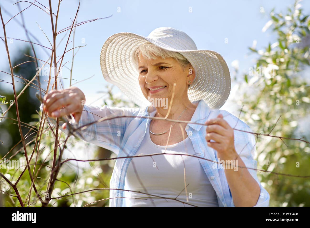 Mature Woman Pruning Bush High Resolution Stock Photography and Images ...