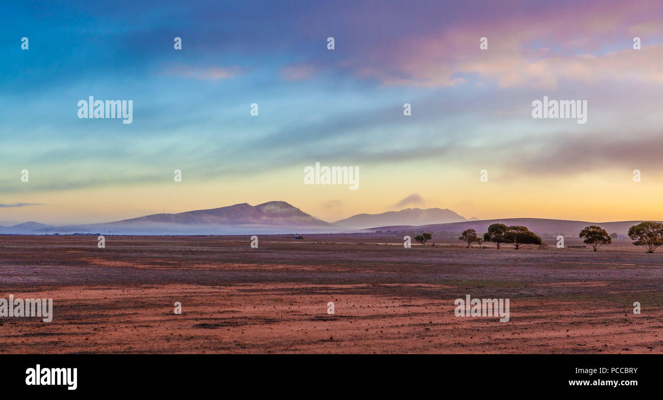 Flinders Ranges peaks and gum trees covered by low morning clouds at ...