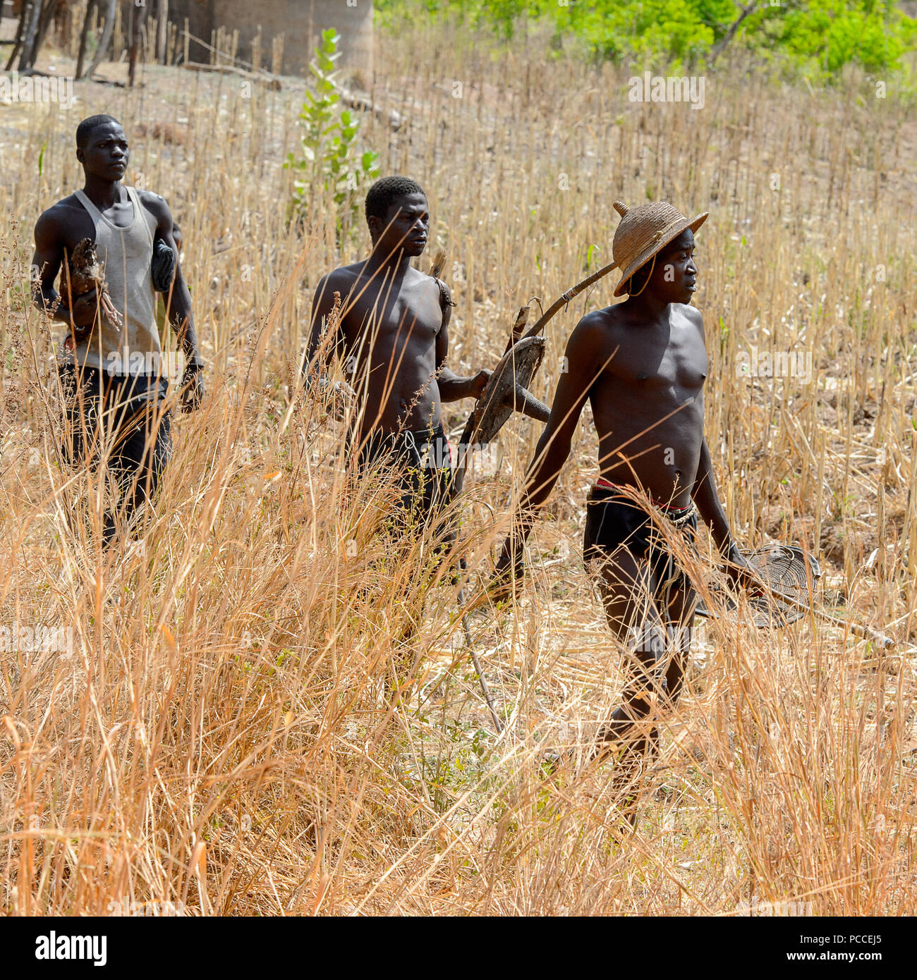TAMBERMA VIL., TOGO - JAN 13, 2017: Unidentified Tammari men dressed ...