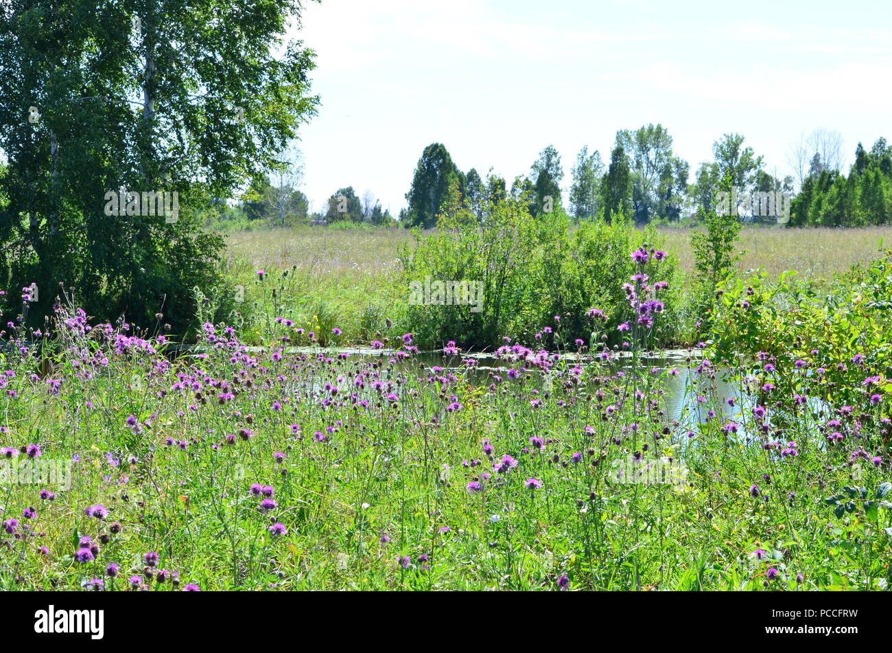 Beautiful landscape the blue lake among the wood in Russia Siberia ...