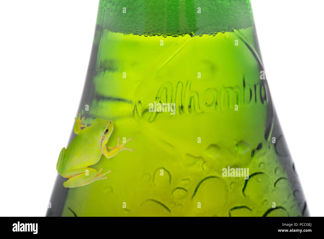 Alhambra Beer High Resolution Stock Photography and Images - Alamy