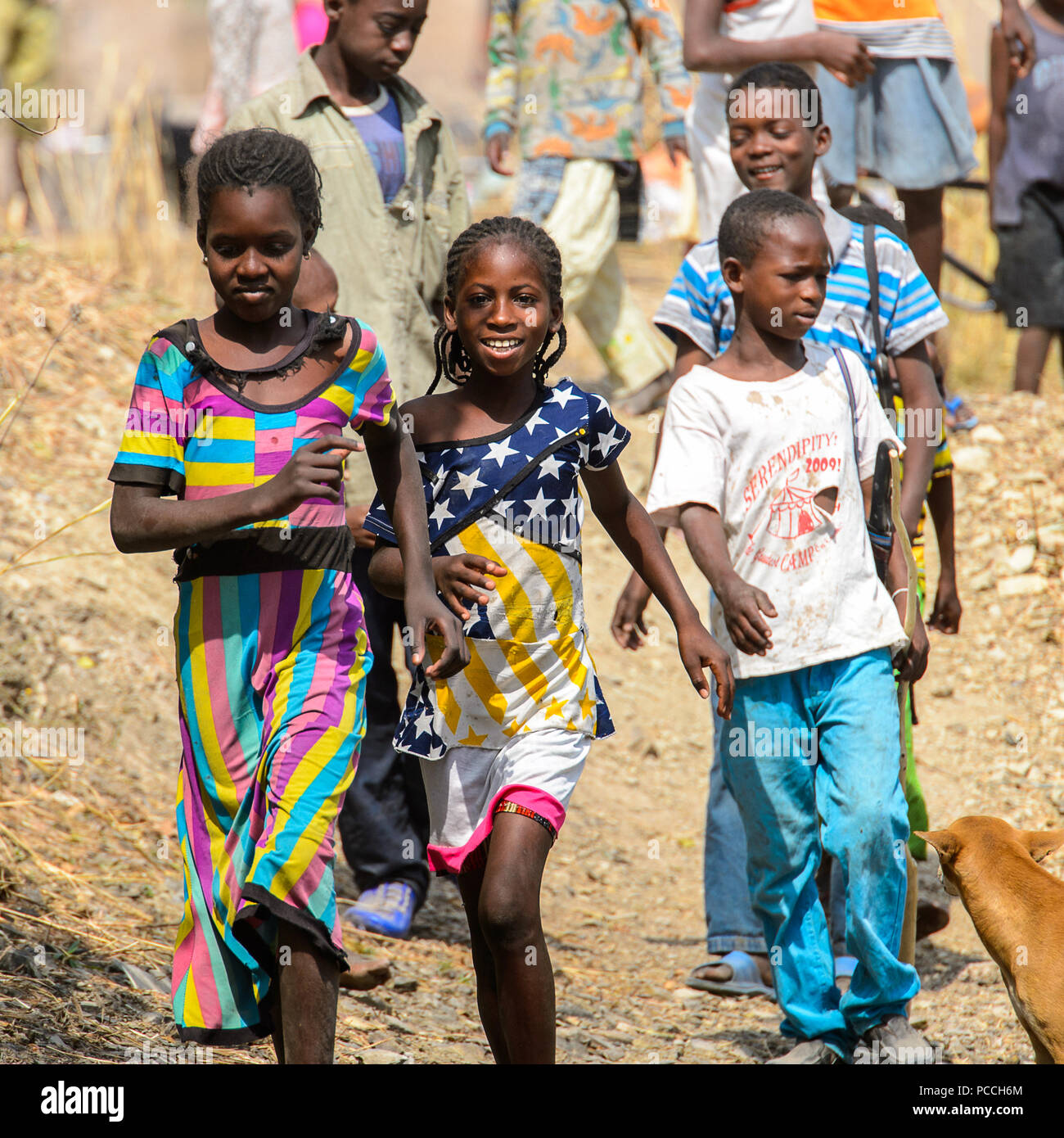 Mali Dog High Resolution Stock Photography and Images - Alamy