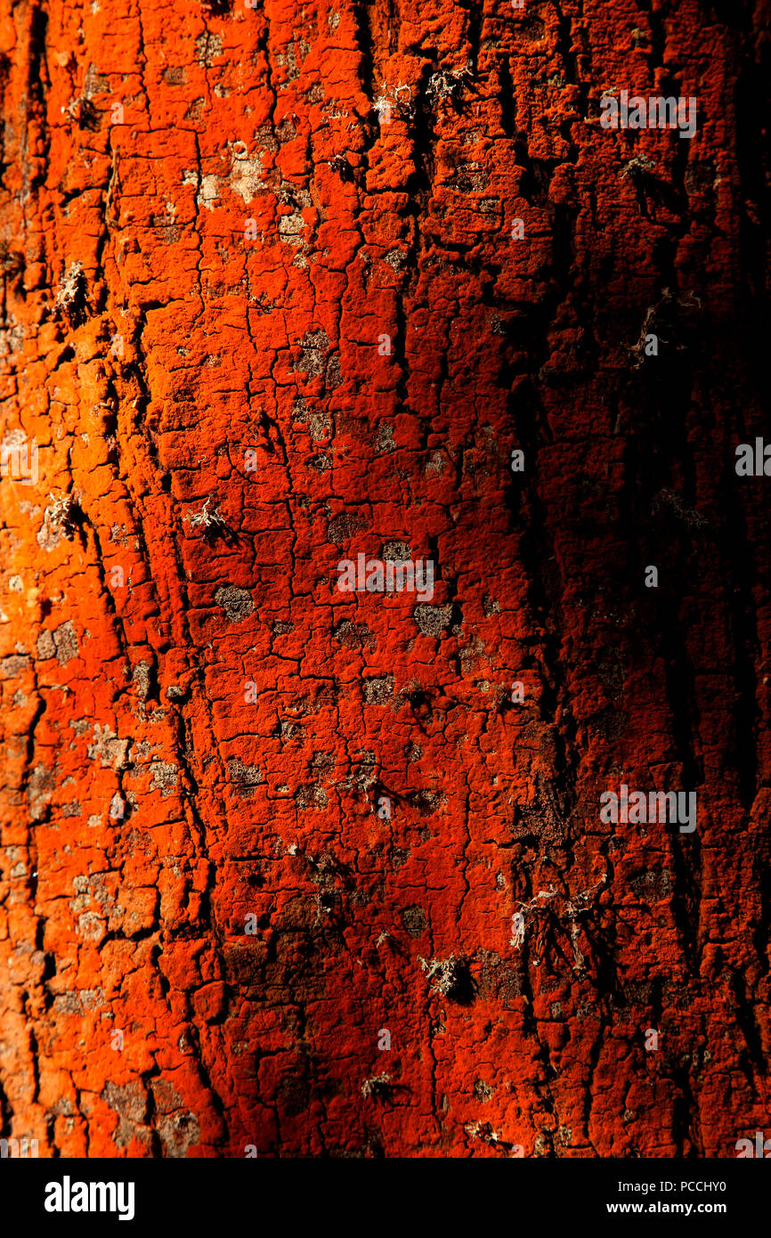 Lighting texture hi-res stock photography and images - Alamy