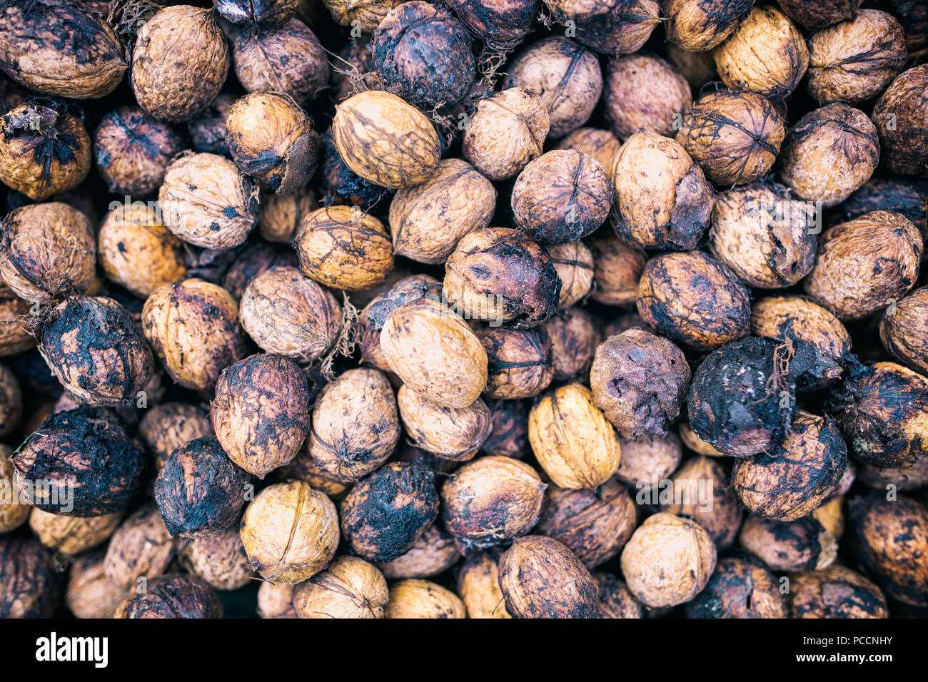 Italian bio agricolture hi-res stock photography and images - Alamy