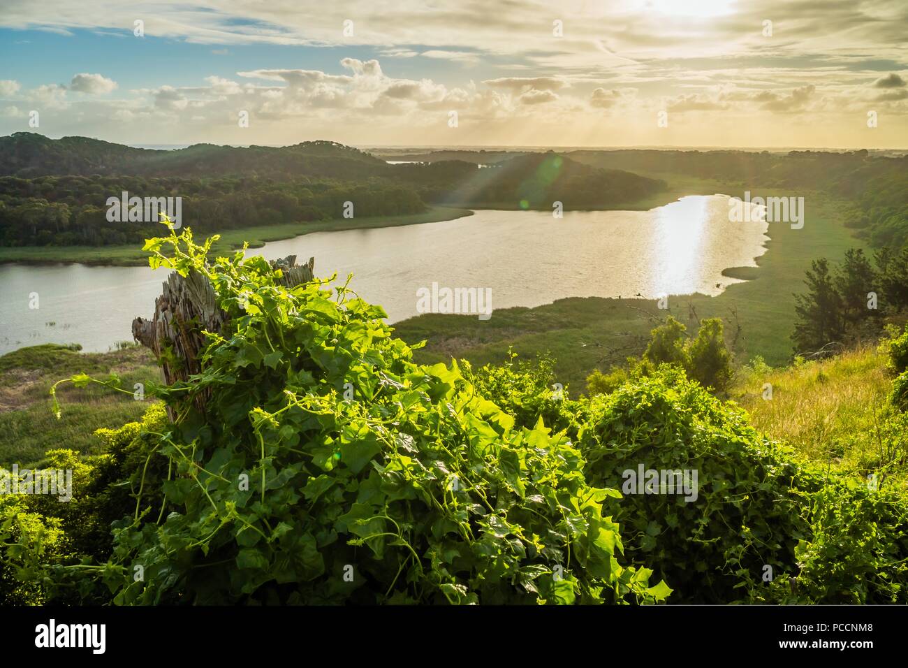Tower hill wildlife reserve victoria hi-res stock photography and ...